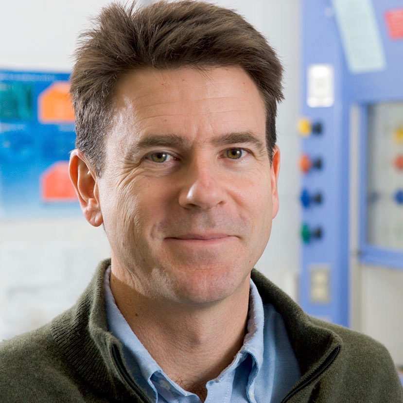 Holmes, Philip V. - Neuroscience Ph.D. Program